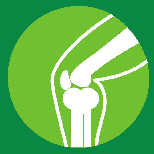 Interpreting DEXA Scan Results: A Comprehensive Guide