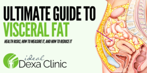 Visceral Fat: Health Risks, How to Measure It, and How to Reduce It ...