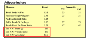 Visceral Fat: Health Risks, How to Measure It, and How to Reduce It ...
